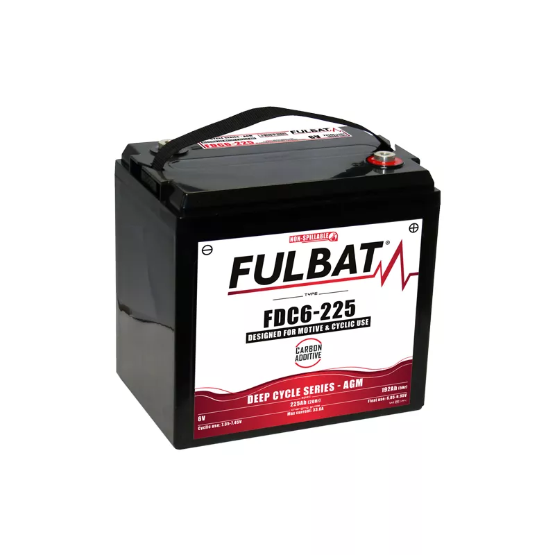 BATTERIE DEEP CYCLE AMG CARBONE FULBAT FDC6-225 6V 225AH - Batteries de ...