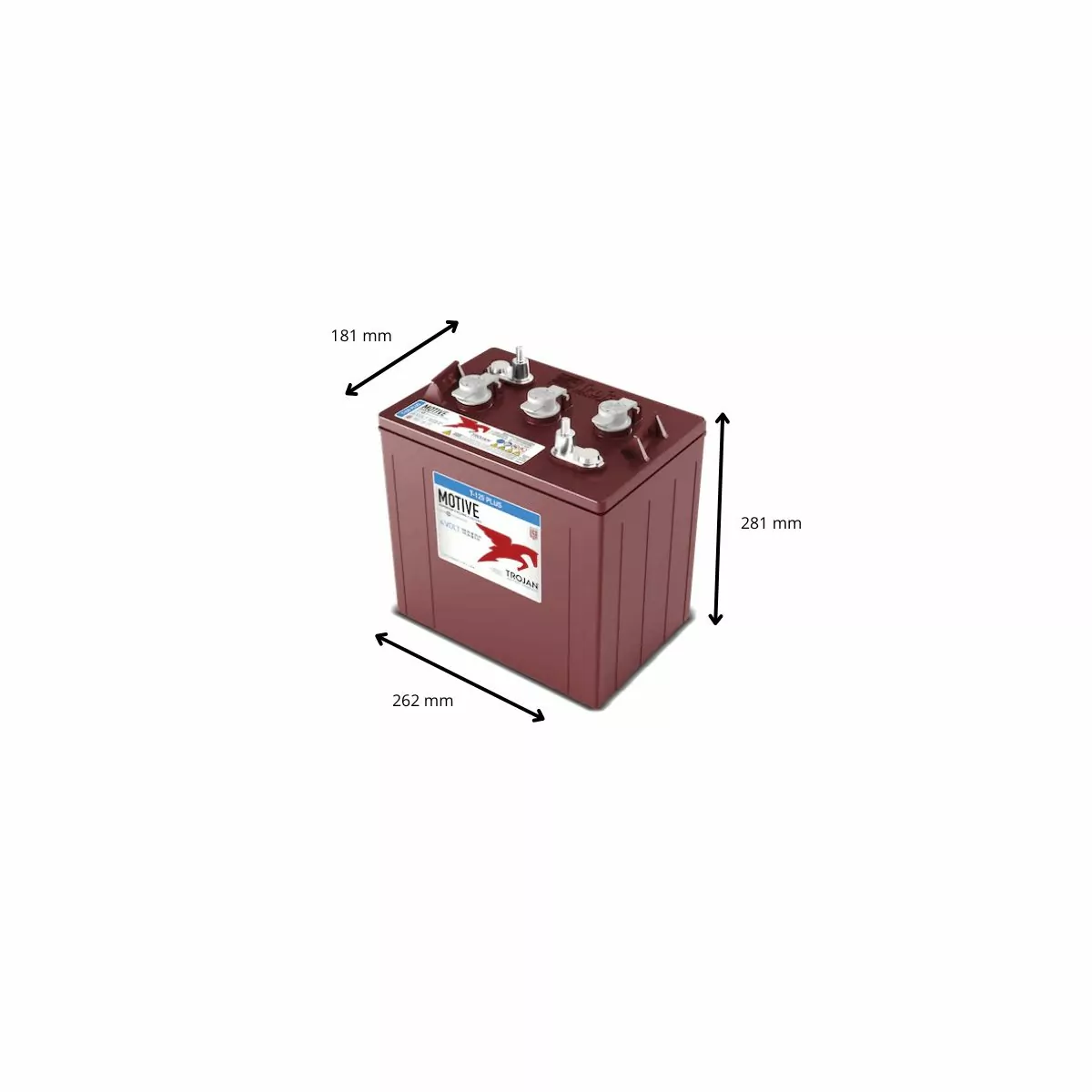 BATTERIE TROJAN DEEP CYCLE T125+ 6V - Batteries de traction Golf ...