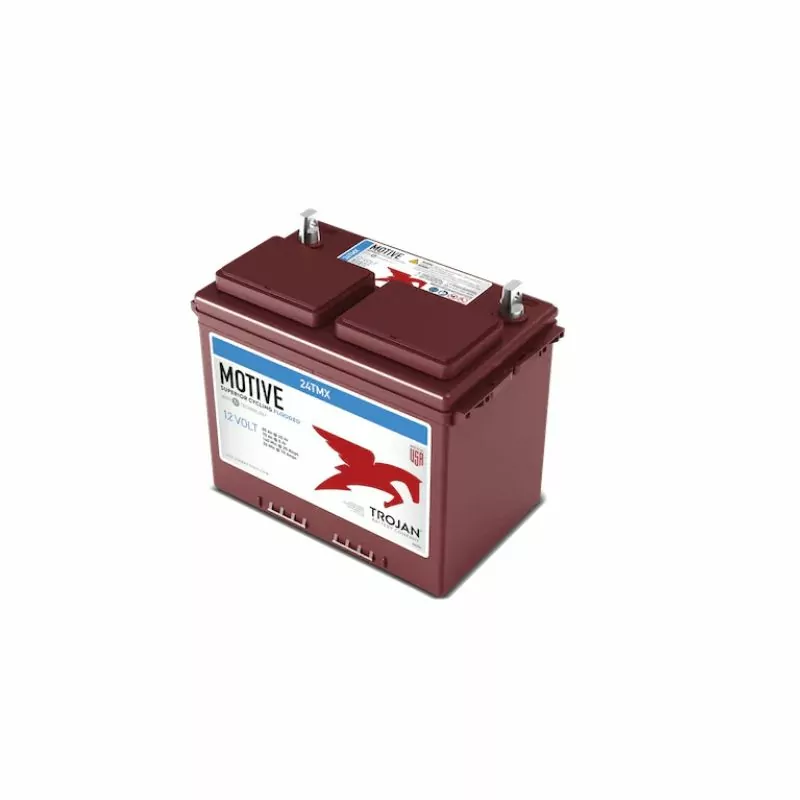 BATTERIE TROJAN DEEP CYCLE 24TMX 12V - Batteries de traction Bateau ...