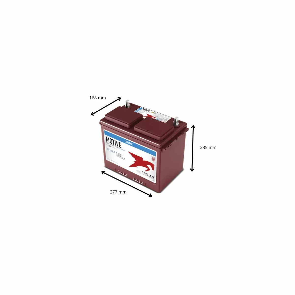 BATTERIE TROJAN DEEP CYCLE 24TMX 12V - Batteries de traction Bateau ...